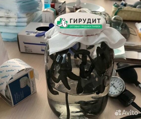 Пиявки медицинские