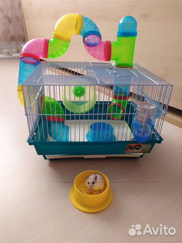 Хомячок, клетка