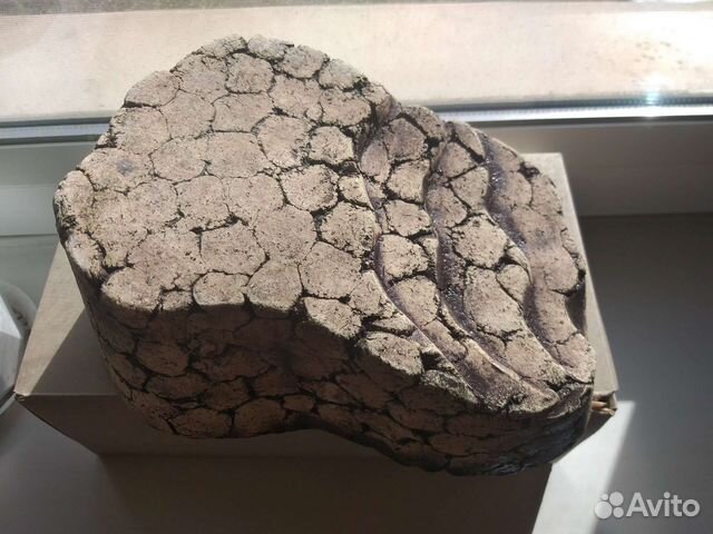 Мостик / бережок для черепахи