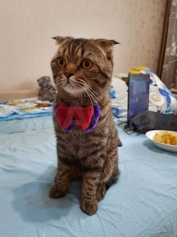 В ответственные руки