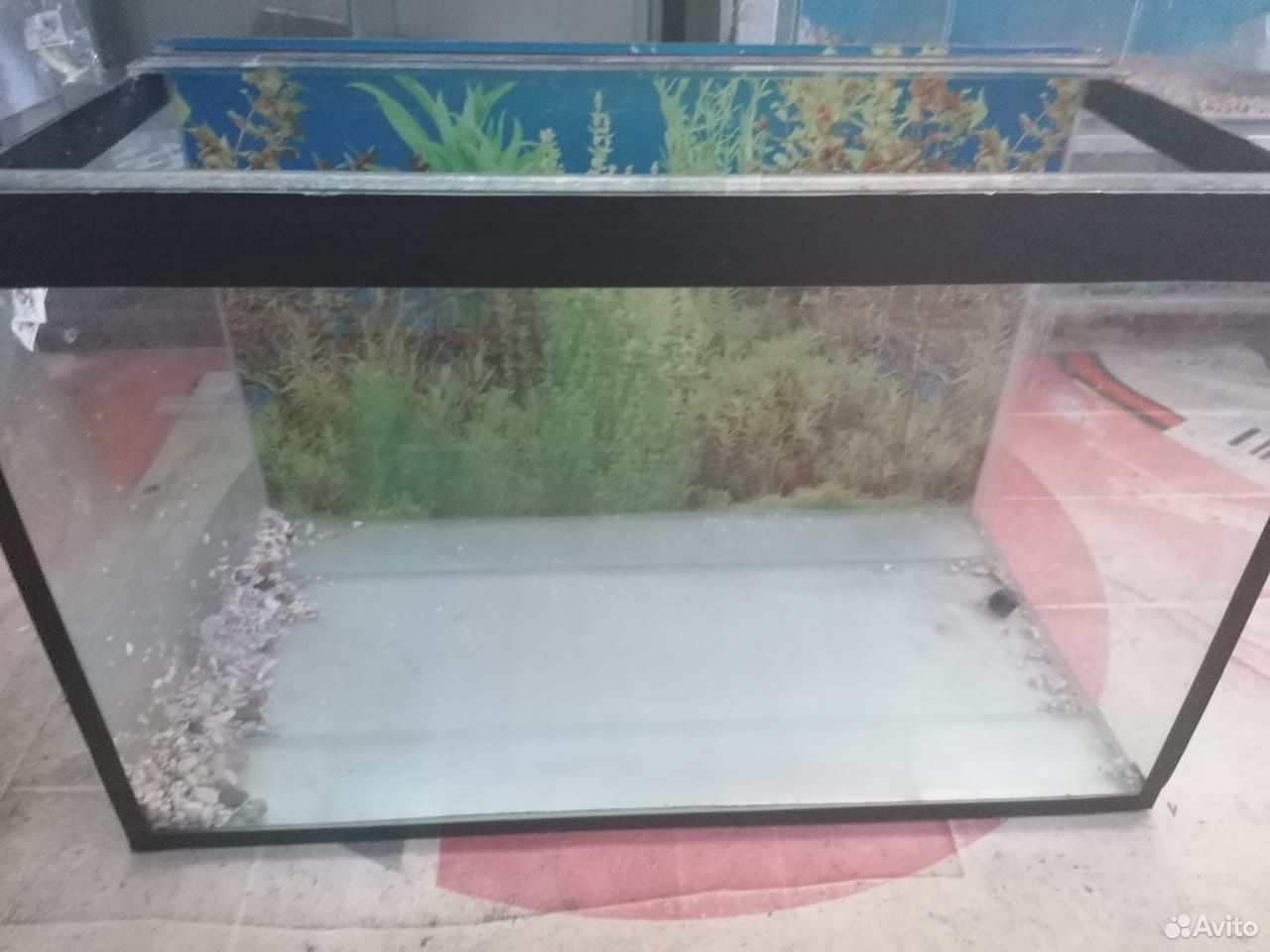 Аквариум