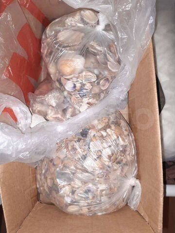 Битая ракушка для грунта в аквариум